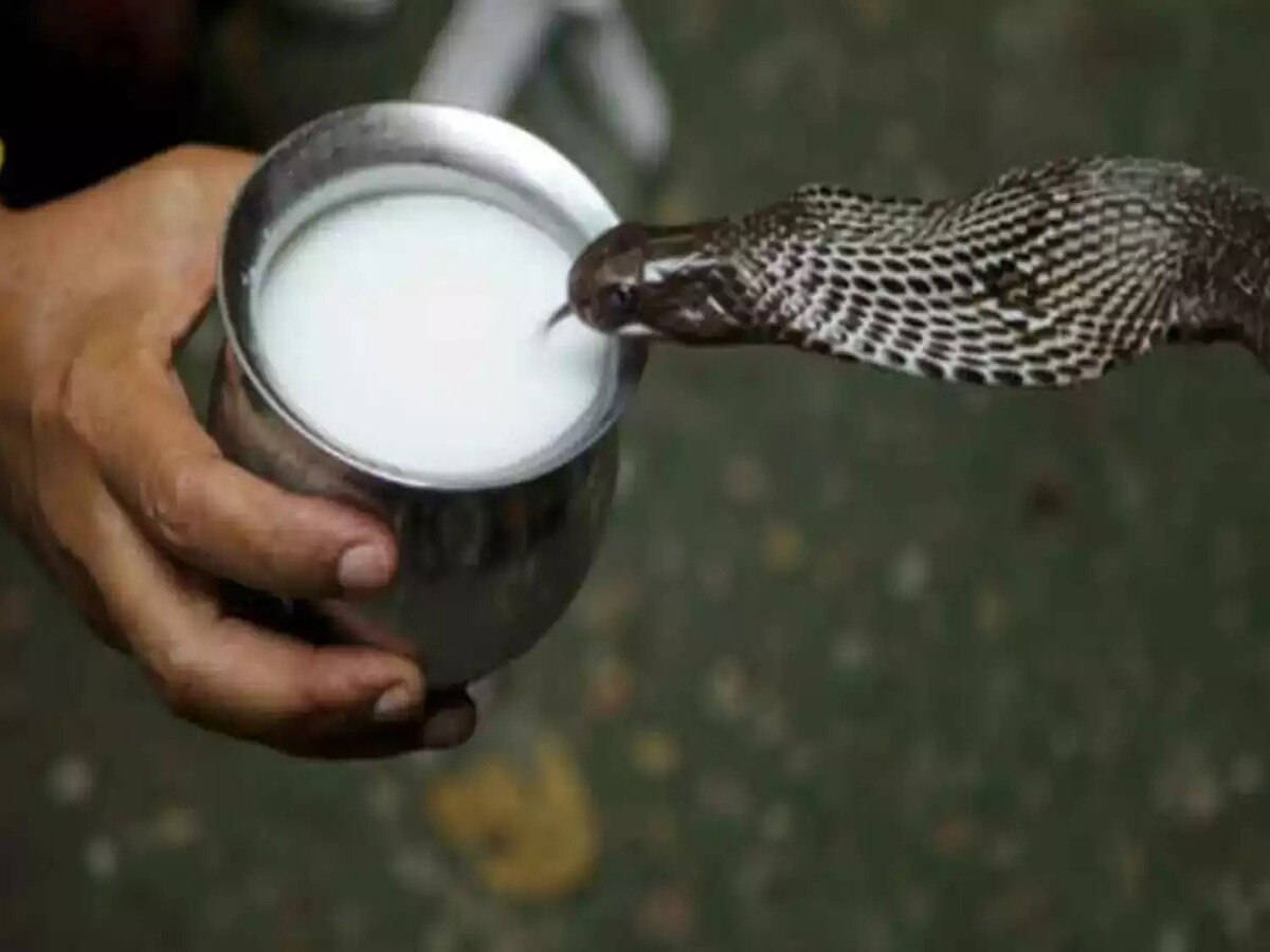 Hindu religious and spiritual benefits of offering milk on Shivling on ...