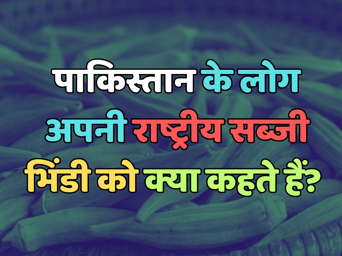 Trending Quiz पाकिस्तान के लोग अपनी राष्ट्रीय सब्जी भिंडी को क्या