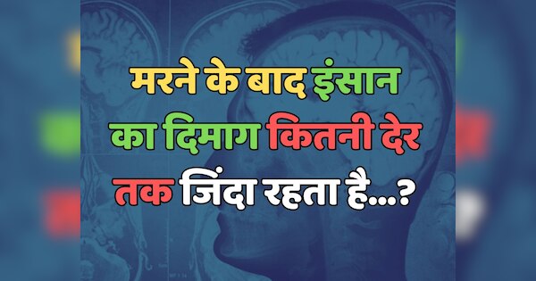 Trending Quiz क्या आप जानते हैं मरने के बाद इंसान का दिमाग कितनी देर
