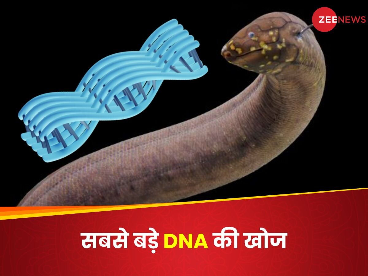 Science News: Largest Animal Genome Found, Lungfish DNA Is 30 Times ...