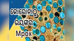 Mpox Virus Treatment की ताज़ा खबरे हिन्दी में | ब्रेकिंग और लेटेस्ट ...