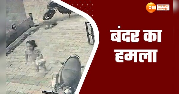 girl running away from monkey attack incident captured on the CCTV ...