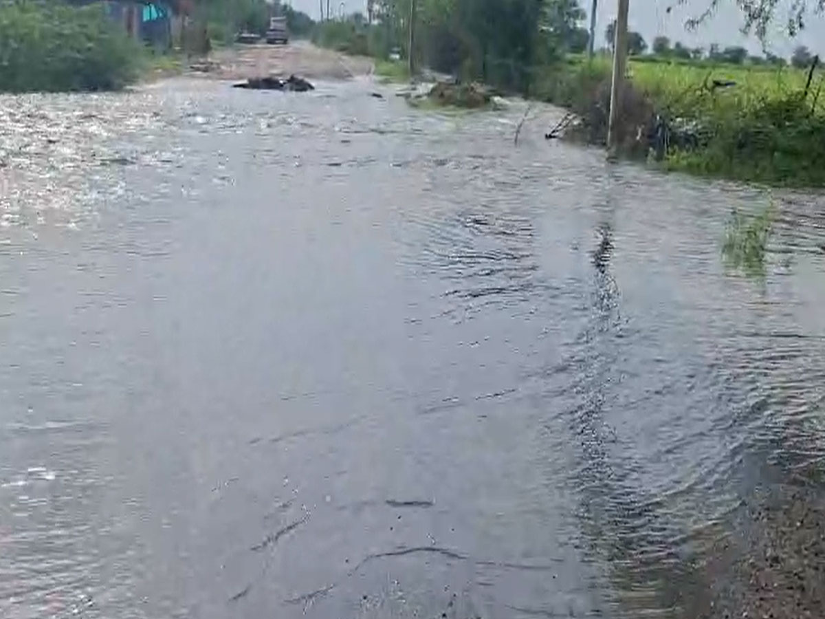 jaipur news heavy waterlogging in fagi due to rainfall see horrible ...