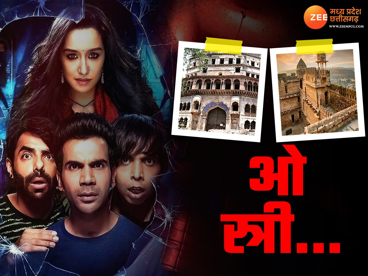 horror comedy stree 2 Shot at 150 years old bhopal tajmahal palace and ...