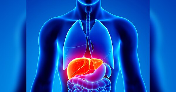 liver is the boss of our body know how diabetes starts | शरीर का बॉस है ...