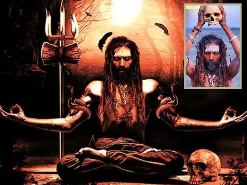 What does Aghori Baba do | What do the Aghori eat | Is Aghori good or ...