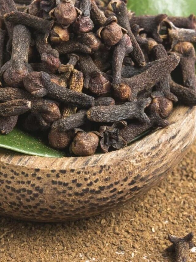 How to Grow Cloves at Home in a Pot with help of Organic Fertilizer ...