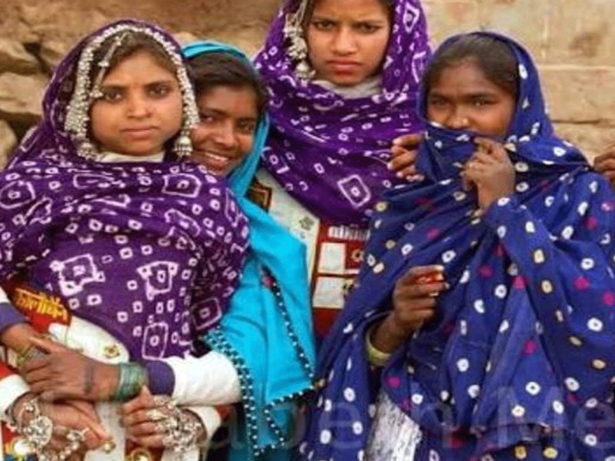 rajasthan udaipur garasia tribe marriage takes place only after birth ...