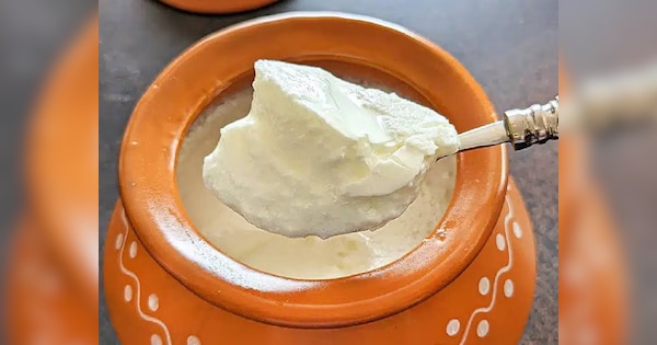 to make market style perfect curd at home apply these tips and tricks ...