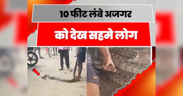 Python Video Of Khunti Jharkhand People Get Scared After Seeing The Height | Khunti Python Video ...