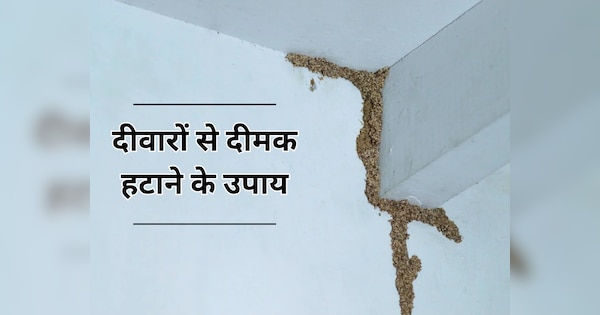 dimak marne ka upay tips to get rid of termites in wall naturally| दीमक ...