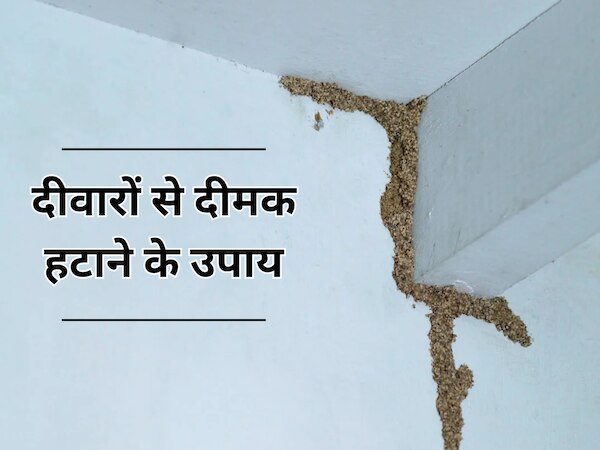 dimak marne ka upay tips to get rid of termites in wall naturally| दीमक ...