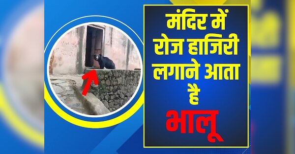 Viral Video bear comes every day during worship at Shaileshwar Mahadev ...