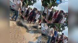 Baddi news की ताज़ा खबरे हिन्दी में | ब्रेकिंग और लेटेस्ट न्यूज़ in ...