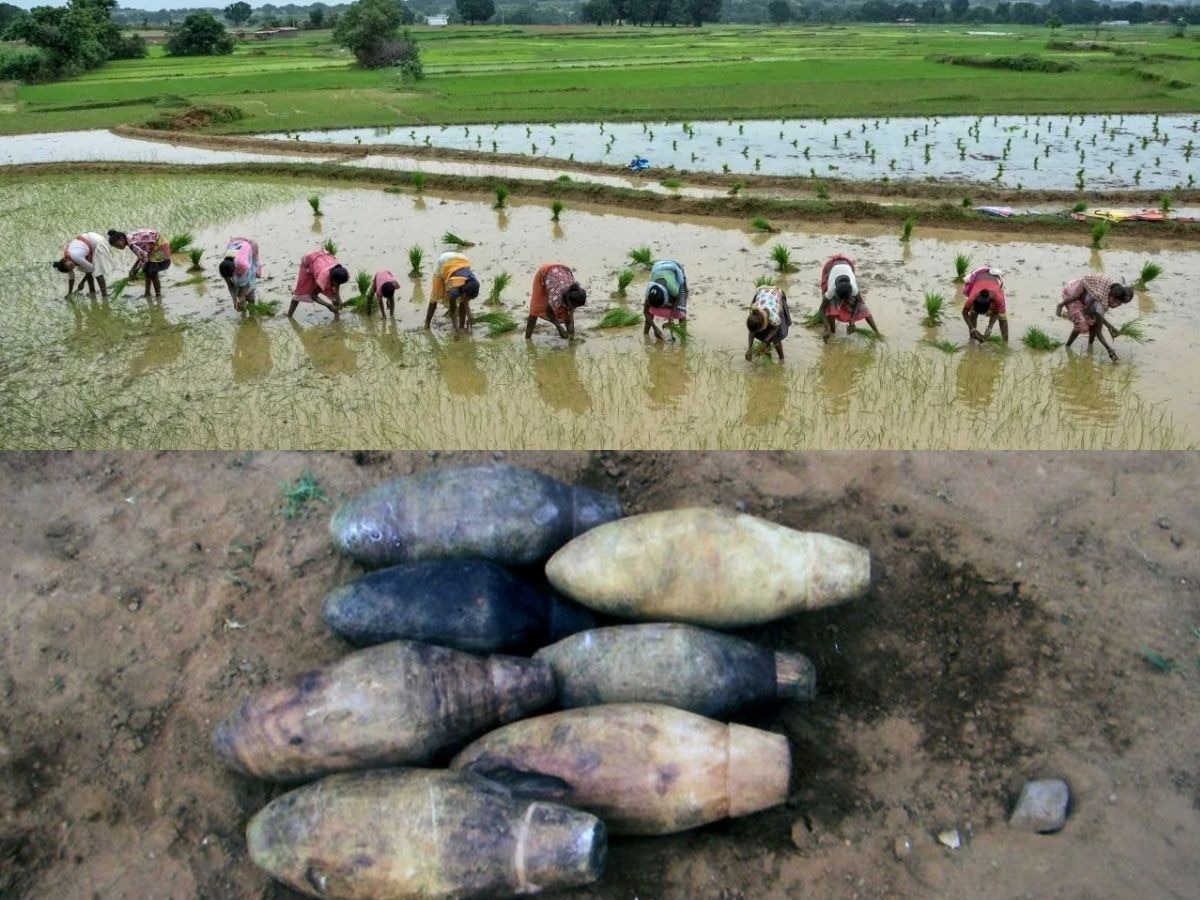 ho tribal people play sekor game for rain know what is the belief and ...