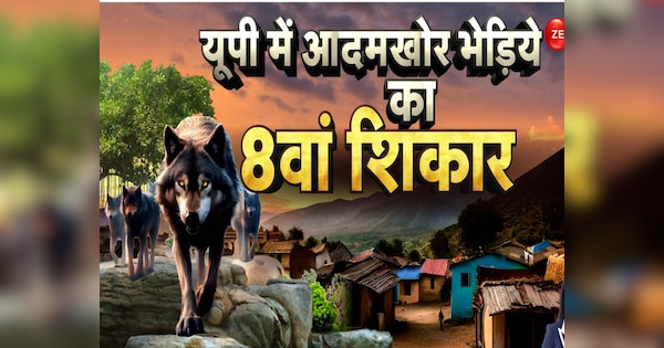 UP Bahraich 8 people have died due to wolf attack so far UP News: यूपी के बहराइच में घूम रही ...