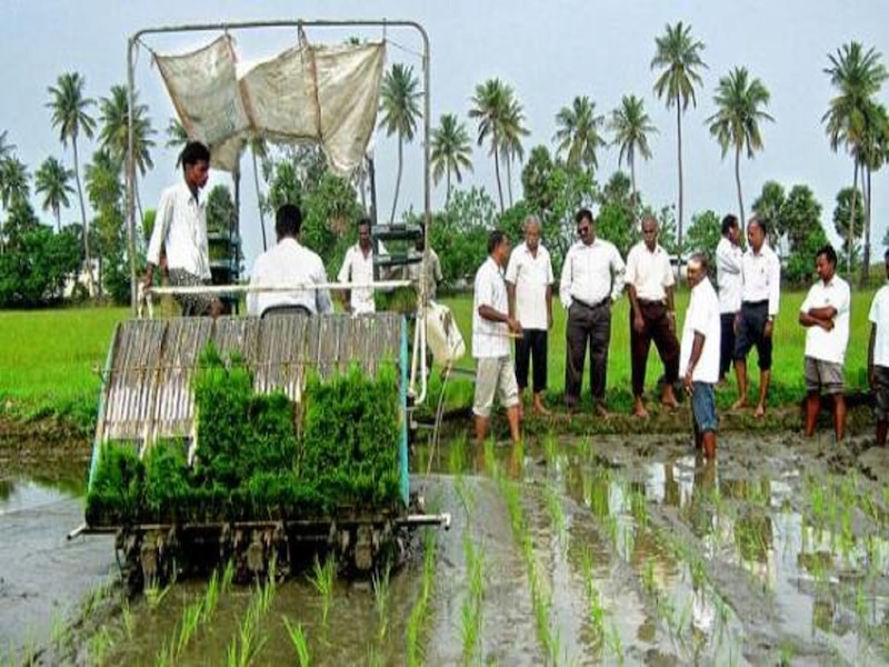 champaran of bihar is known for farming farmers mainly grow these crops ...