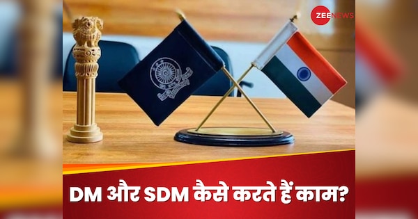dm vs sdm what is the difference between DM and SDM and who is more powerful | DM vs SDM: कौन ...
