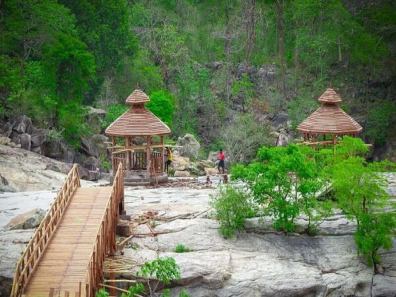 the only forest in Jharkhand where many types of animals and plants are ...
