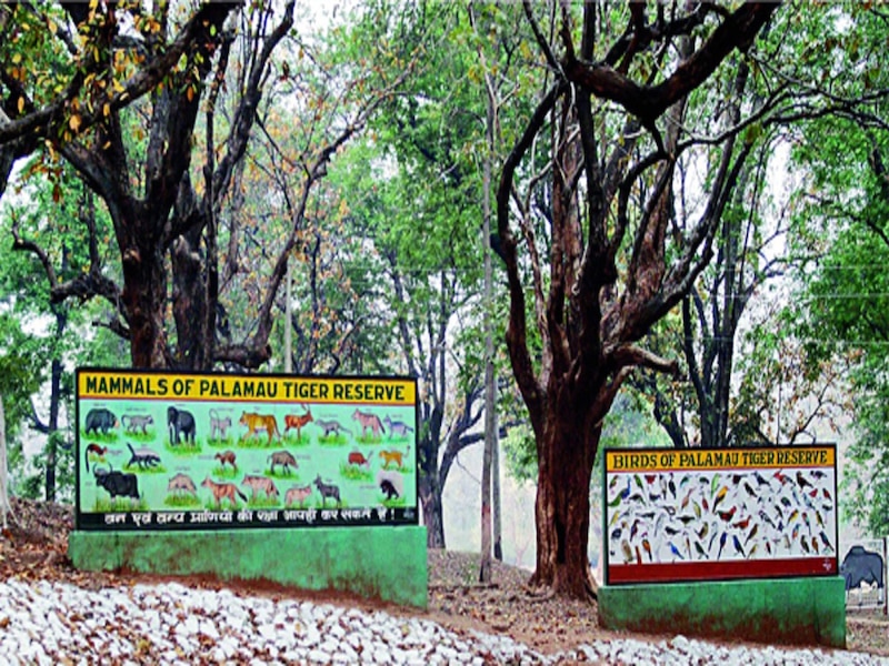 the only forest in Jharkhand where many types of animals and plants are ...