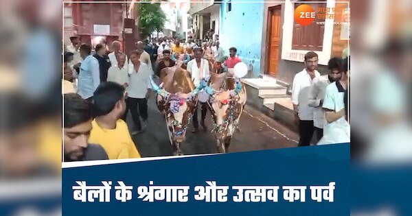 What is the importance of Pola festival parv of Nimar In which the ...