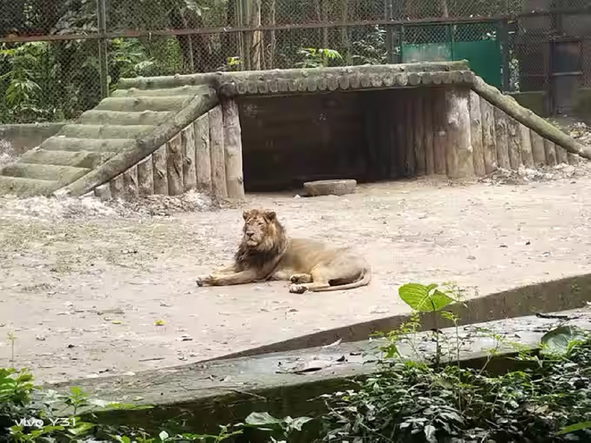 the country largest zoo is going to be built in Bihar Minister Dr. Prem Kumar announced this ...