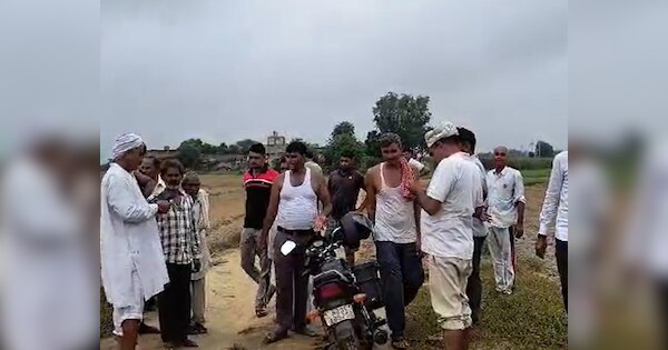 Alwar News People scared tiger entering Jakhopur village of Kotkasim ...