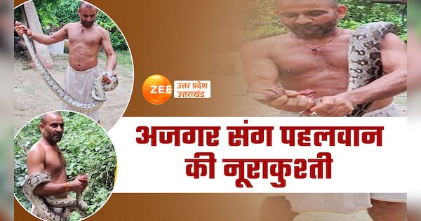 agra sundar pahalwan 6 25 foot python near wrapped it around his neck and left in the forest ...