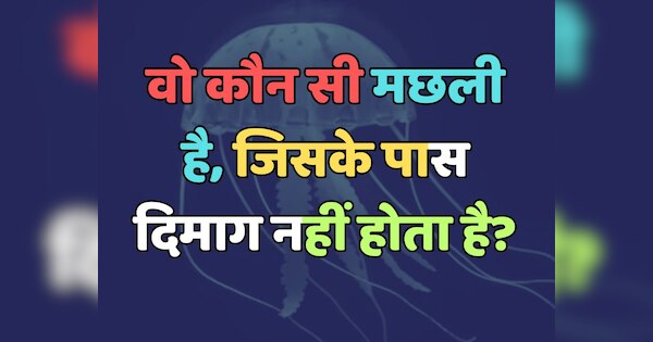 Trending Quiz वो कौन सी मछली है जिसके पास दिमाग नहीं होता है