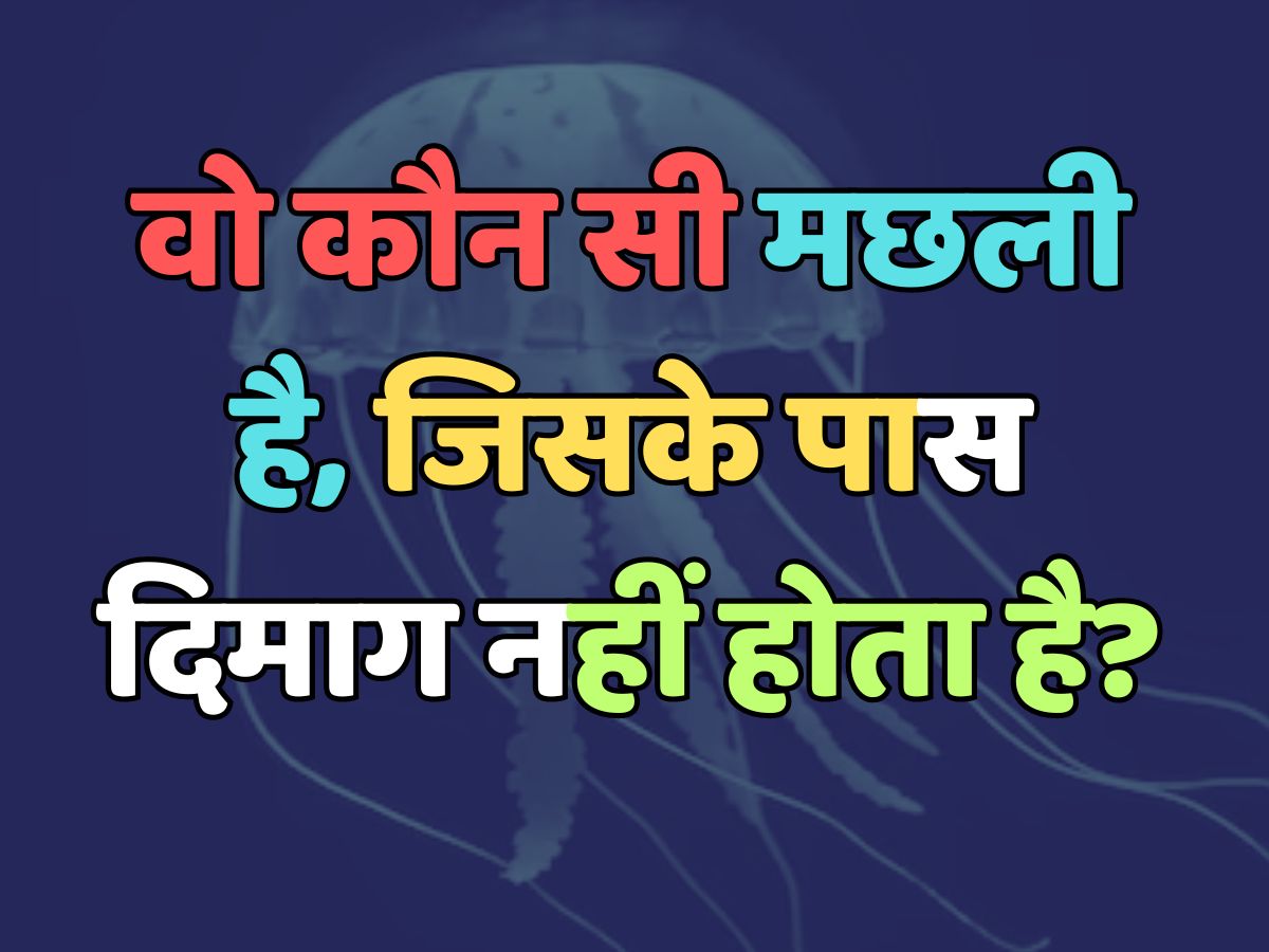 Trending Quiz वो कौन सी मछली है जिसके पास दिमाग नहीं होता है