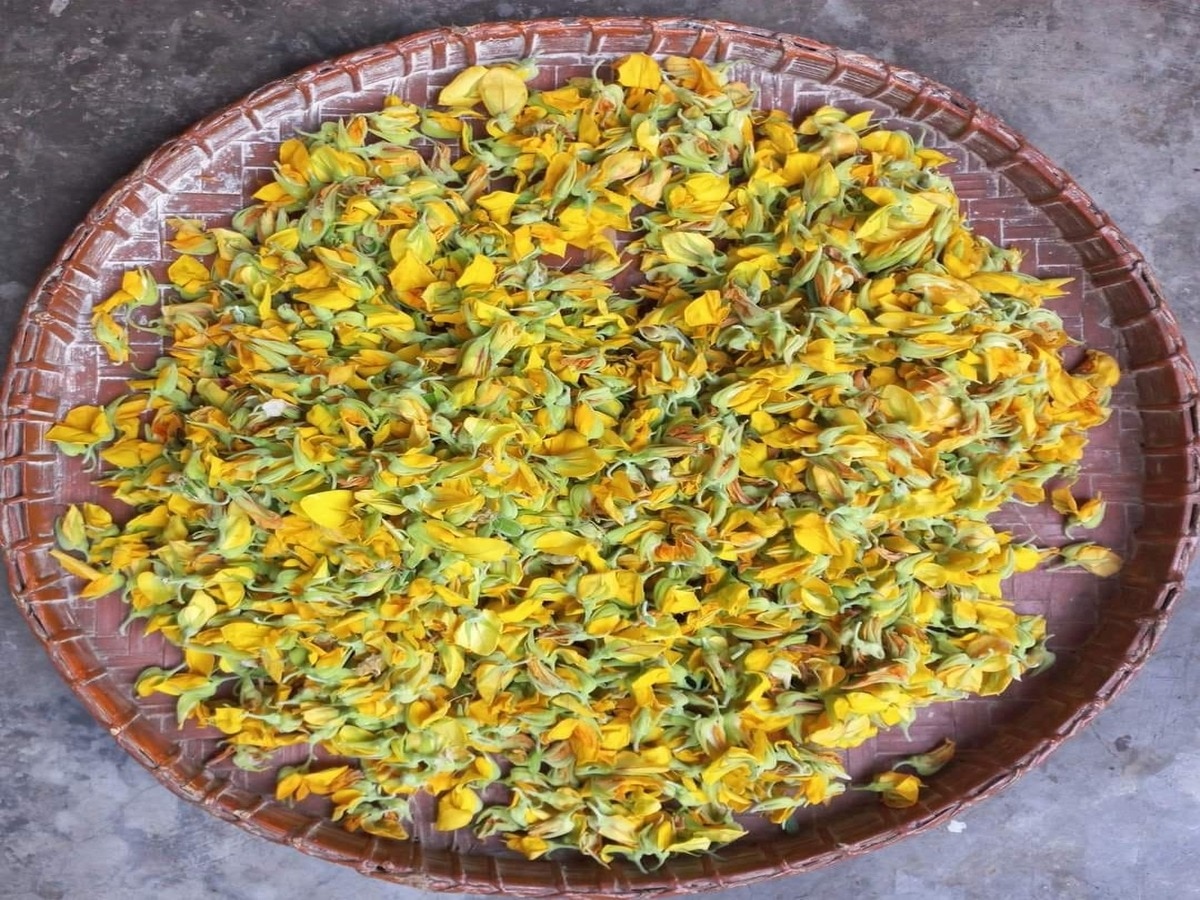 sanai plant and flower have many qualities used for eating making rope ...