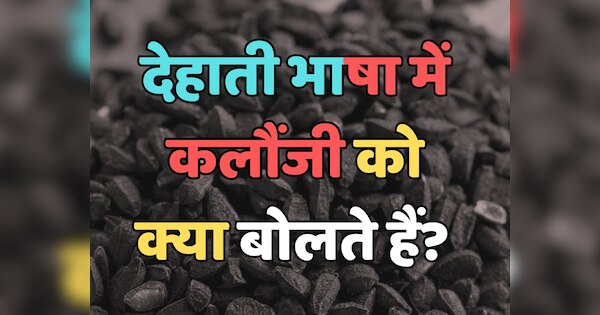 Trending Quiz क्या आप जानते हैं देहाती भाषा में कलौंजी को क्या बोलते