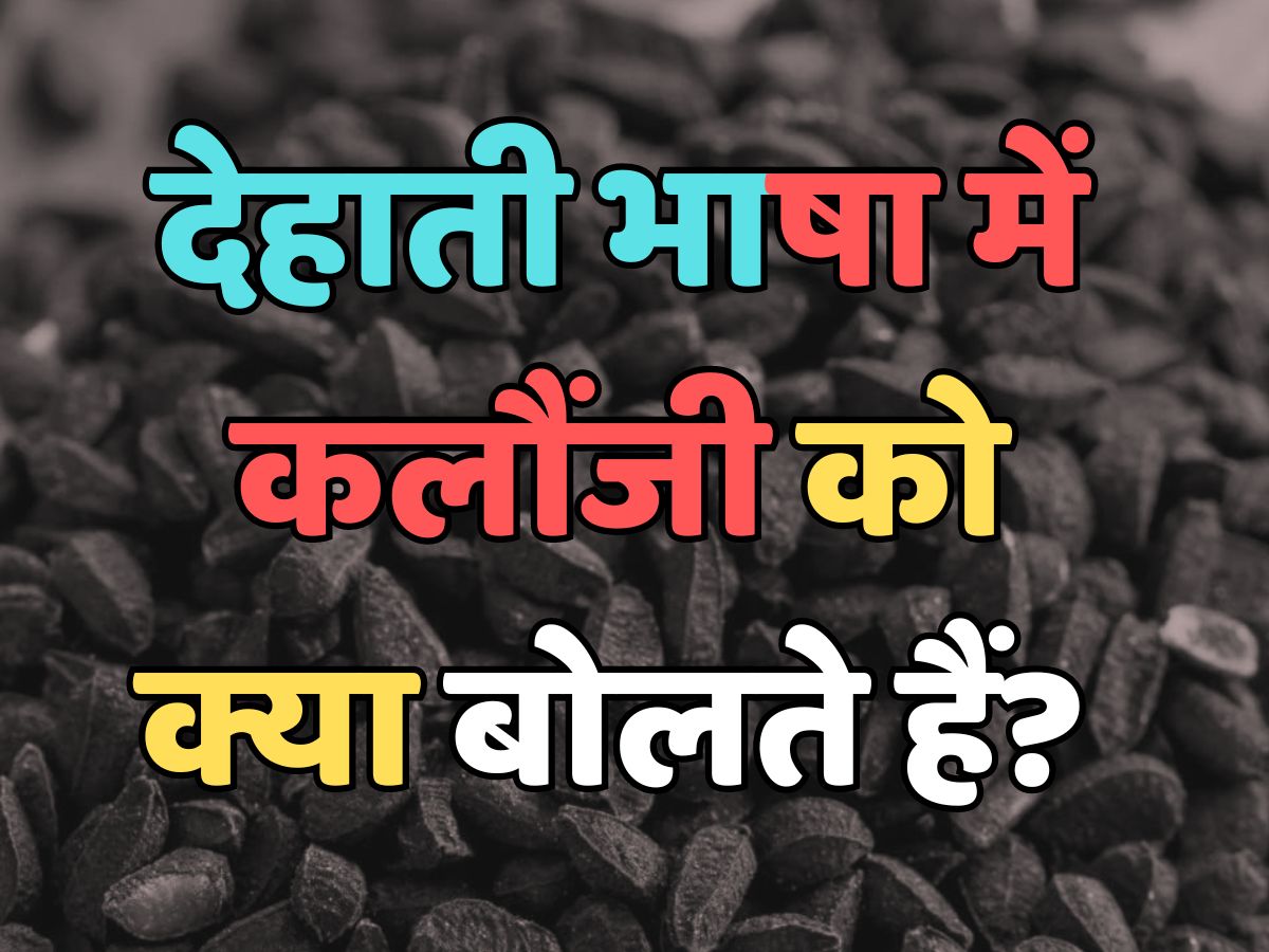 Trending Quiz क्या आप जानते हैं देहाती भाषा में कलौंजी को क्या बोलते