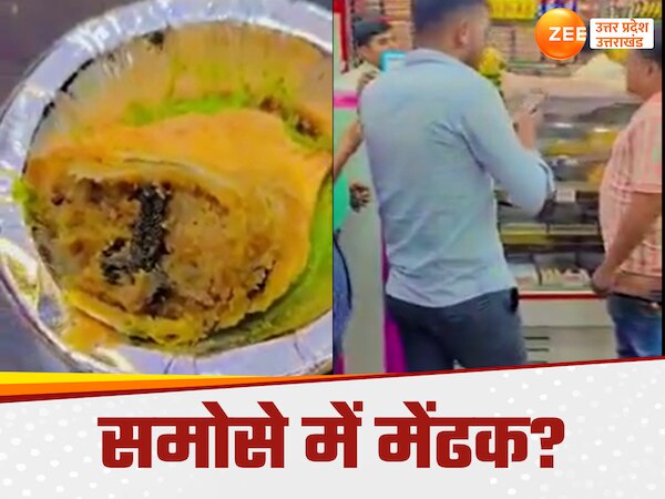 Frog leg found in samosa Ghaziabad customer made video and accused ...