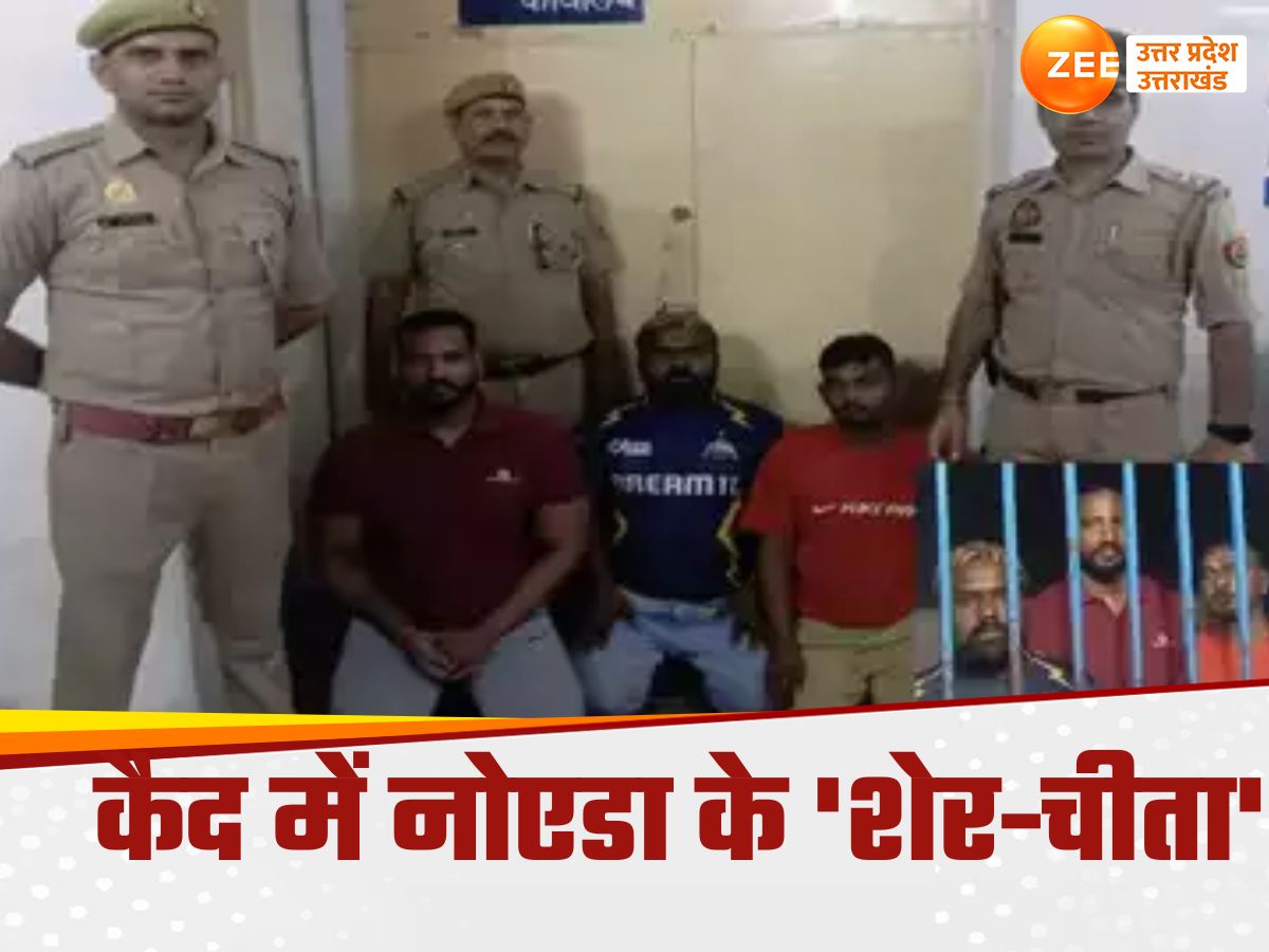 Noida Police arrest sher and cheeta for making reel on instagram ...