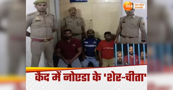 Noida Police arrest sher and cheeta for making reel on instagram ...