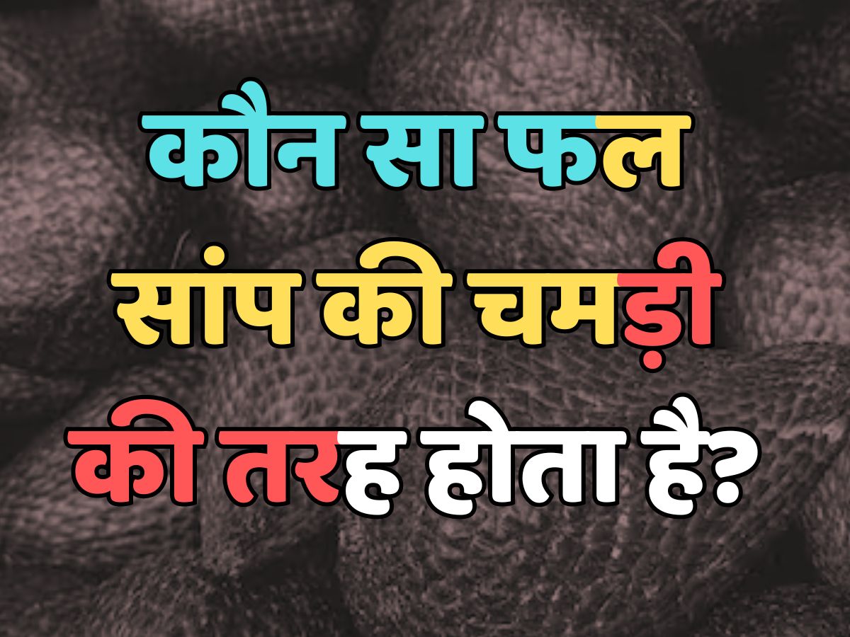 Trending Quiz कौन सा फल सांप की चमड़ी की तरह होता है Trending Quiz