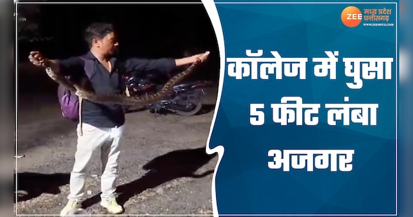 A 5 feet long python entered the ITI college campus in Seoni | VIDEO ...