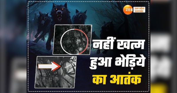 Bahraich Bhediya Attack man-eating wolf captured on drone camera during ...