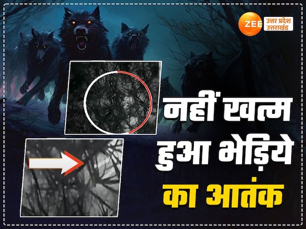 Bahraich Bhediya Attack man-eating wolf captured on drone camera during ...