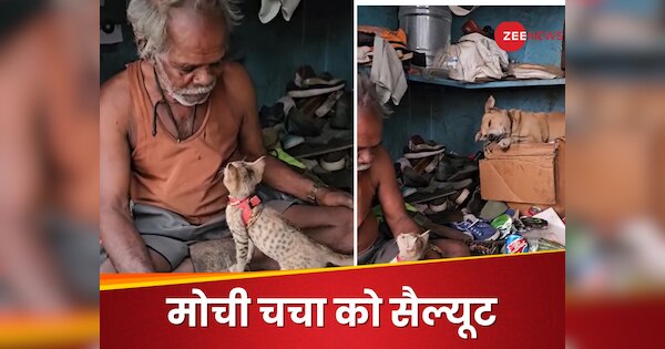 Video: Bengaluru cobbler Ramayya Uncle Mochi Chacha with dogs cat ...