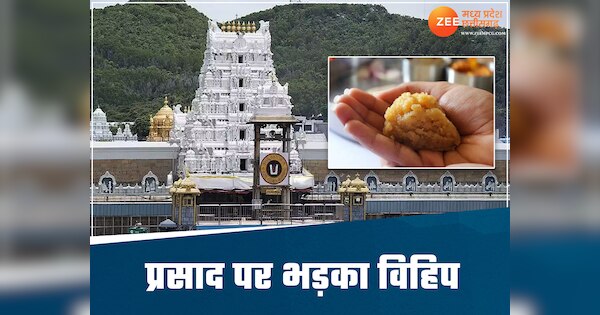 MP News Tirupati Balaji Laddu case VHP The angry international general secretary Bajrang Bagda ...