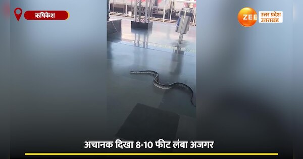 rishikesh railway station 8 to10 feet long ajgar spotted watch this viral video | Ajgar Video ...