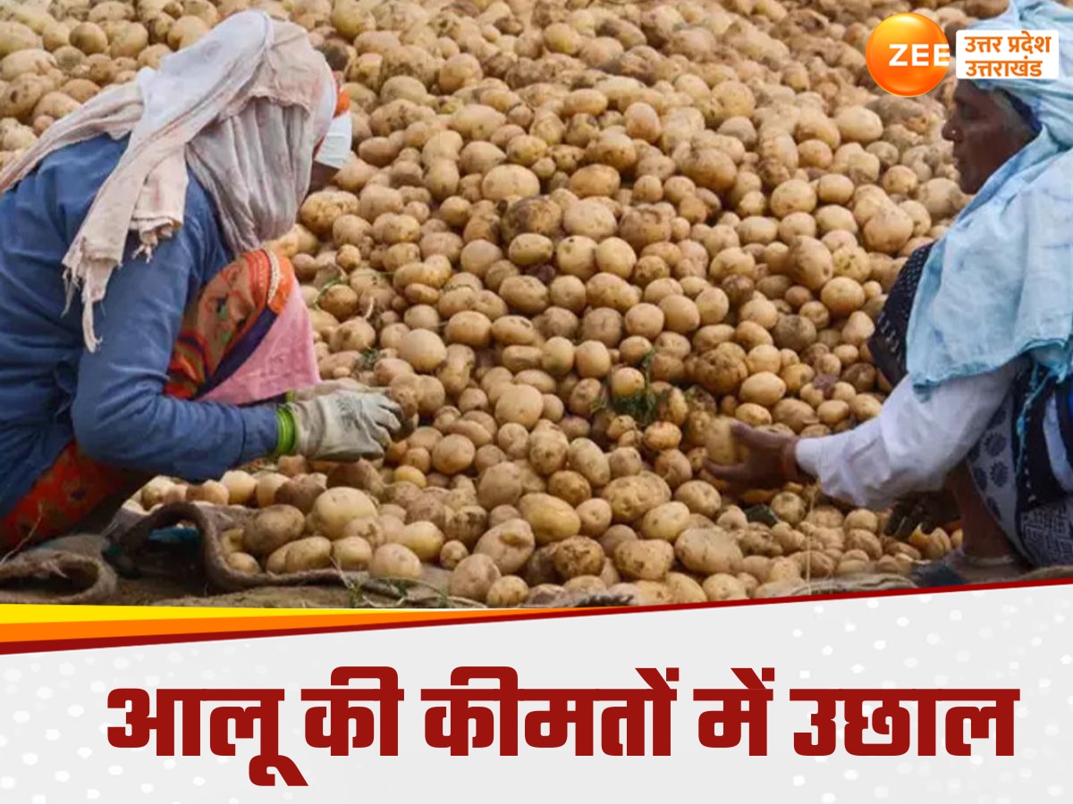Potato prices may increase after tomato and onion Farmers have not sow ...