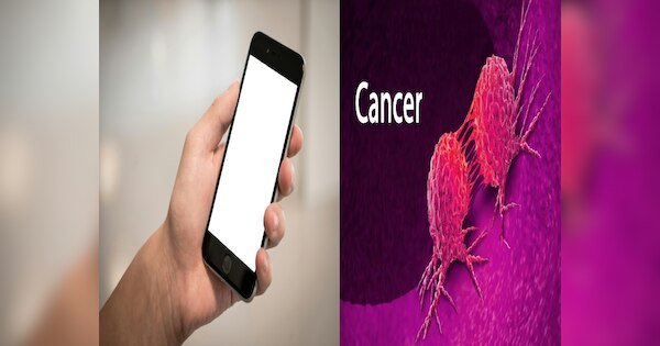 Mobile Phones does not harm to cancer cells who Research reveals