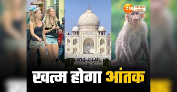 Ultrasonic Monkey Repeller Machine will deploy in Taj Mahal to keep ...