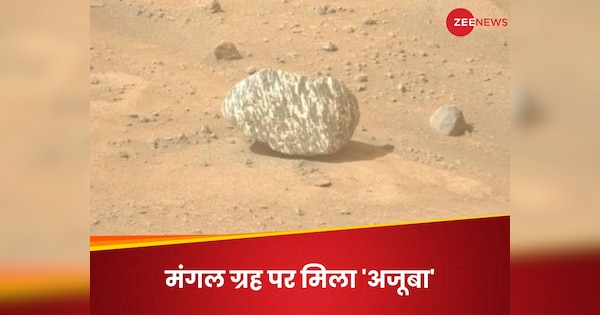 Zebra Rock On Mars Discovery Shocks NASA Scientists Never Before Seen ...