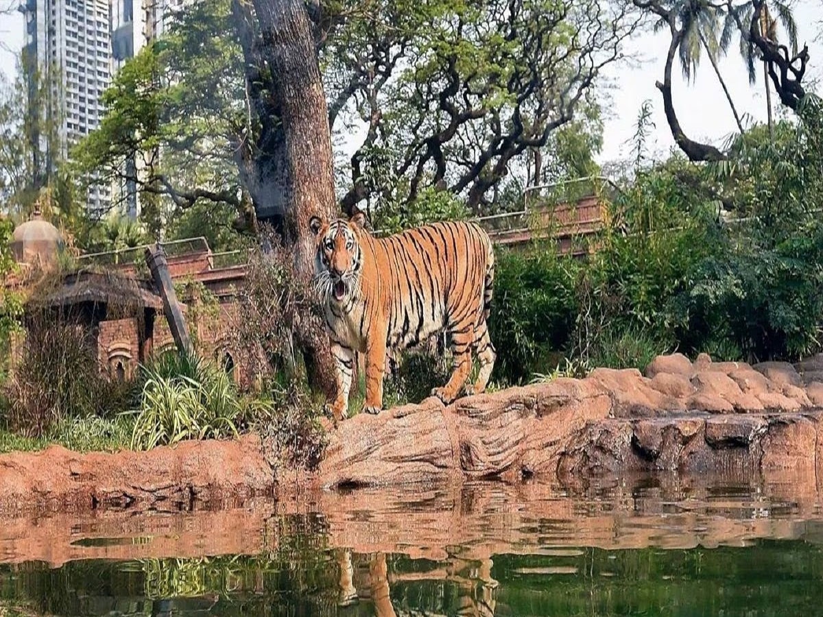 Lucknow Zoo is the oldest zoo in UP known as nawab wajid ali shah prani ...