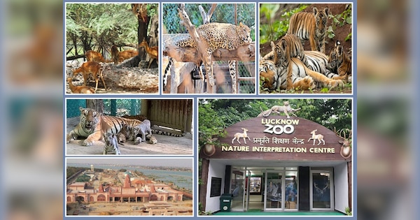 Lucknow Zoo is the oldest zoo in UP known as nawab wajid ali shah prani ...