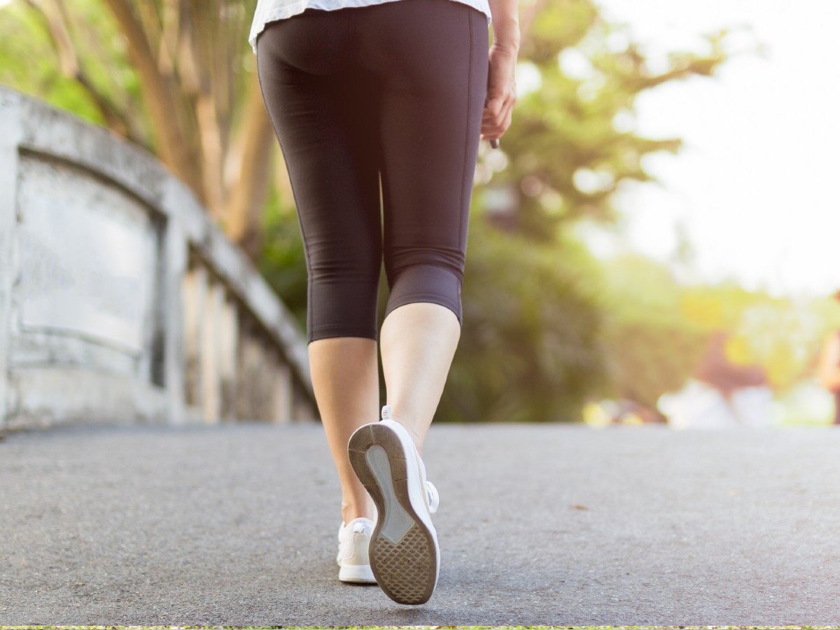 Morning Walk Or Evening Walk Which Is BetterMorning Walk Benefits ...